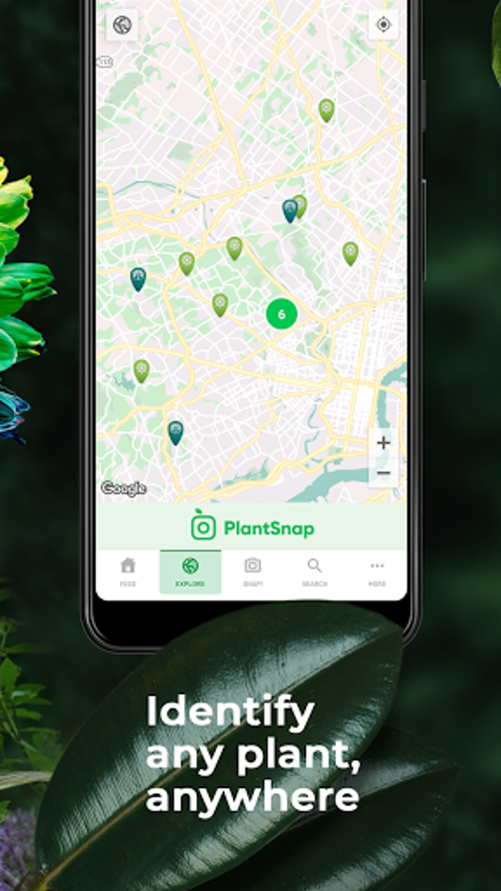 T l charger PlantSnap 6 2 9 Pour Android Filehippo T l charger PlantSnap 6 2 9 Pour Android Filehippo