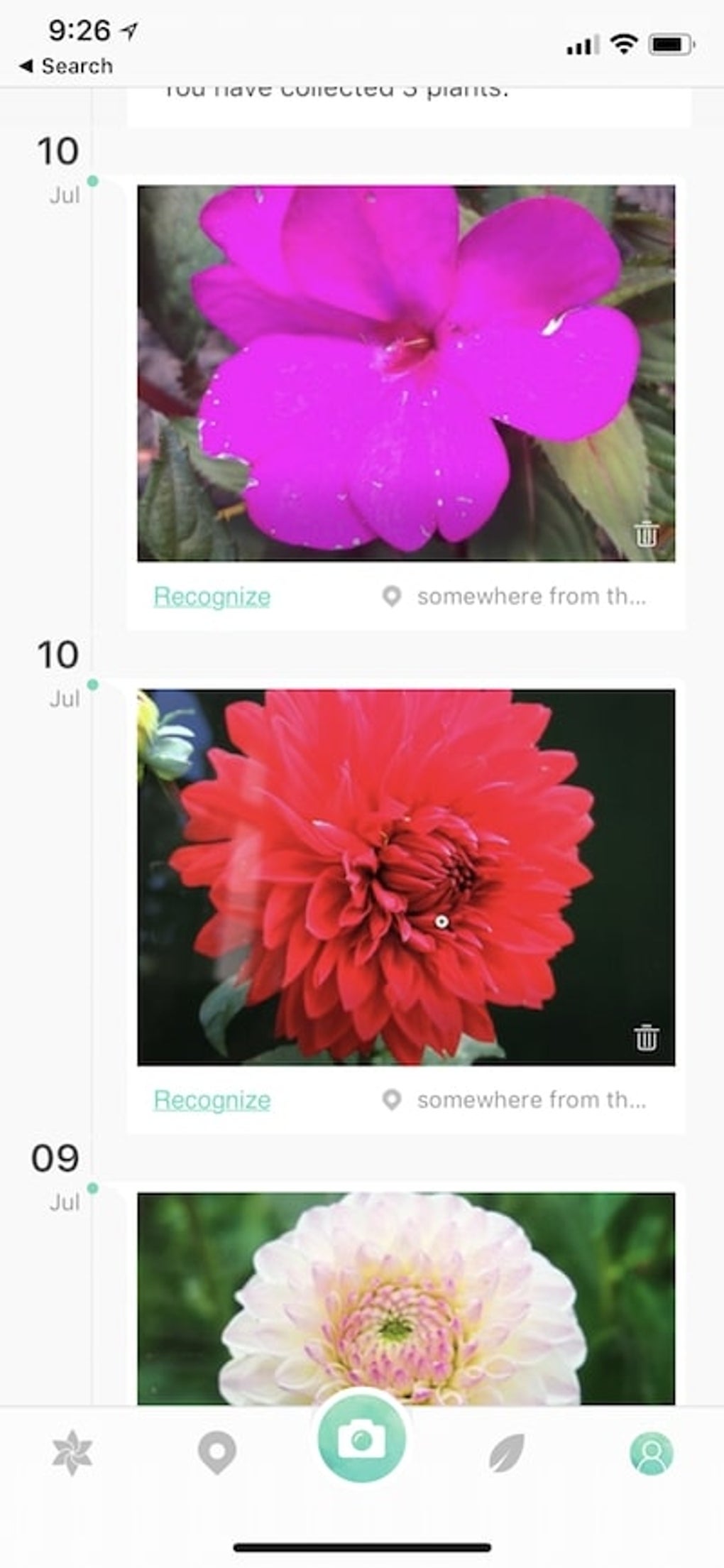 Download PictureThis Flower Plant Identification 3 37 For Android 