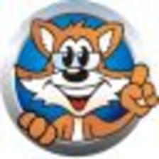 Download MoneyFox 6.1 for Windows - Filehippo.com