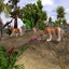 Download Wildlife Park 2 Demo for Windows - Filehippo.com